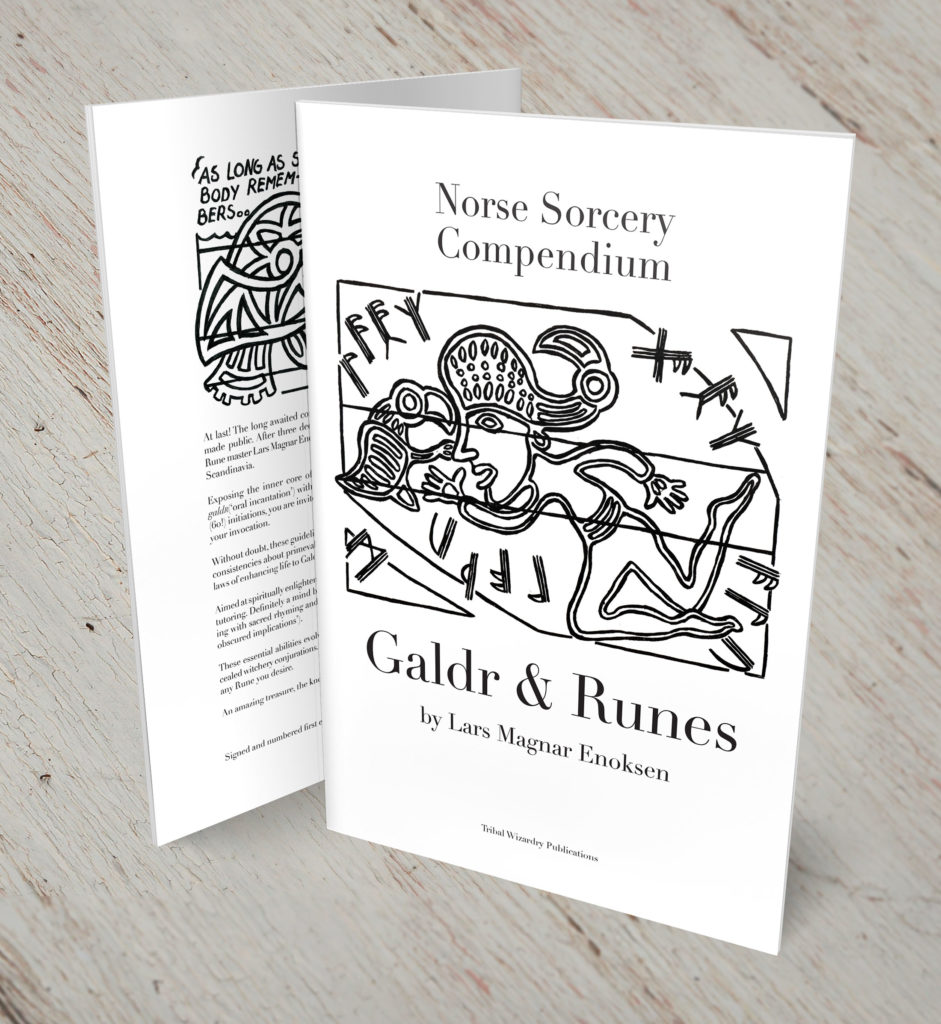 Norse Sorcery Compendium: Galdr & Runes – Lars Magnar Enoksen